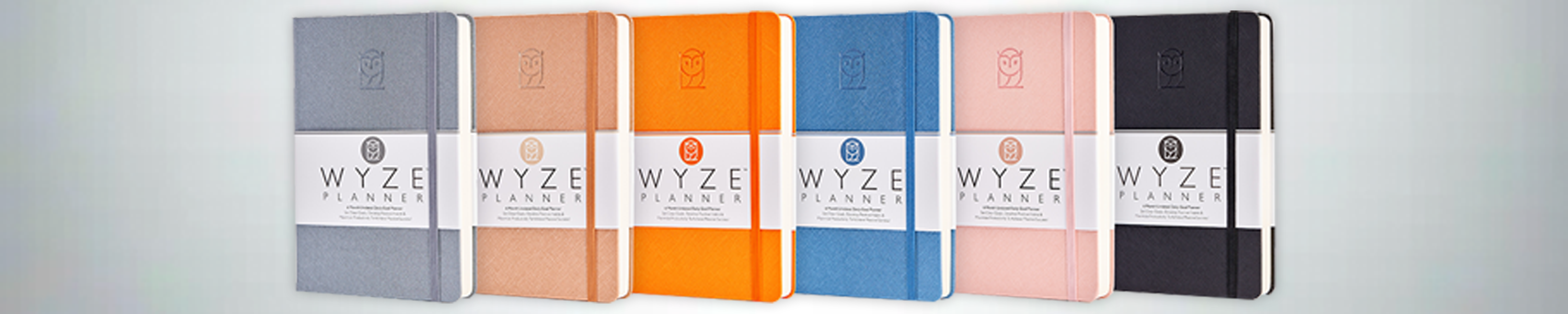 Amazon.com: WYZE PLANNER