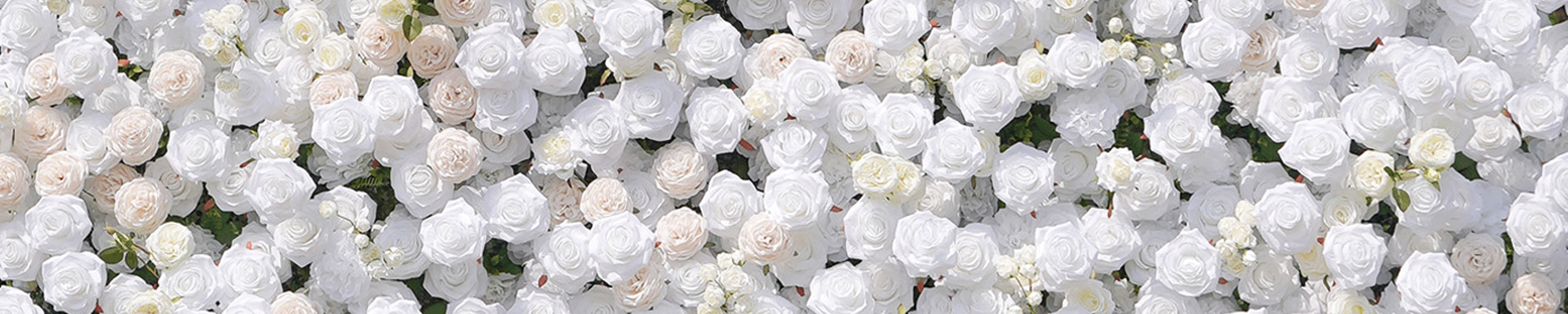 Amazon.com: COCO FLOWERWALL: About Us