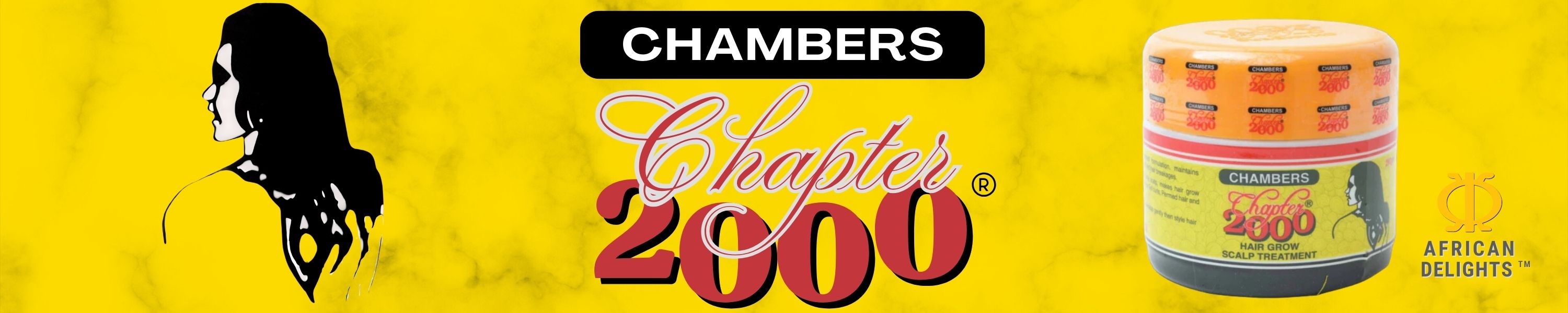 Amazon.com: Chambers Chapter 2000