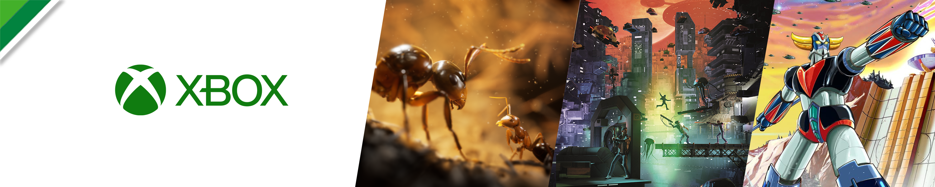 Amazon.com: Microids: Xbox Series X