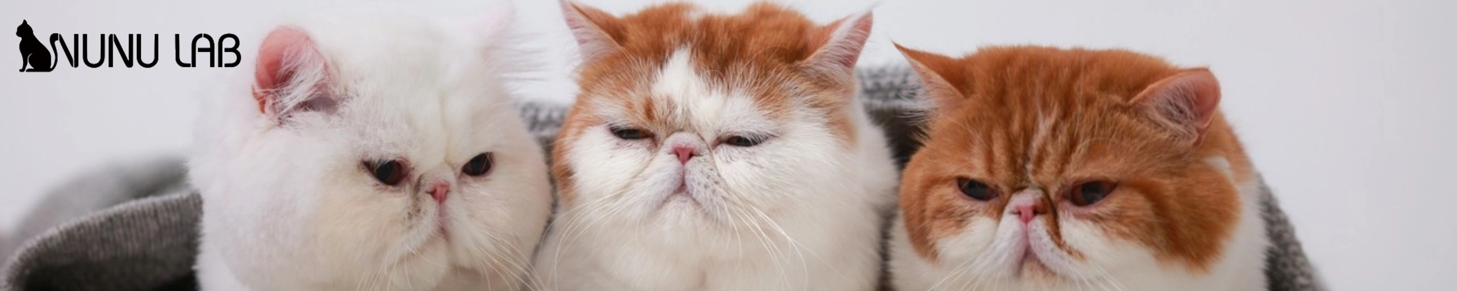 Amazon.com: NUNU LAB