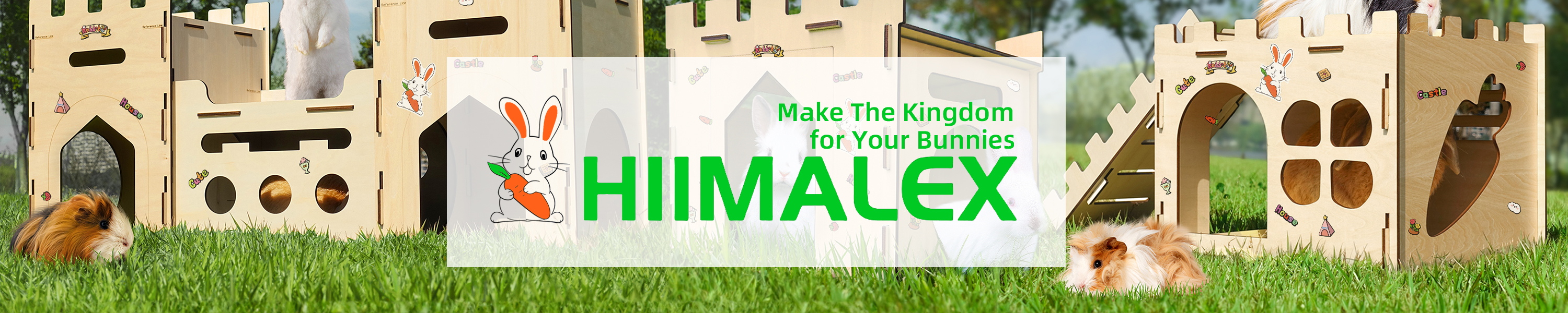 Amazon.com: HIIMALEX: BEST SELLER