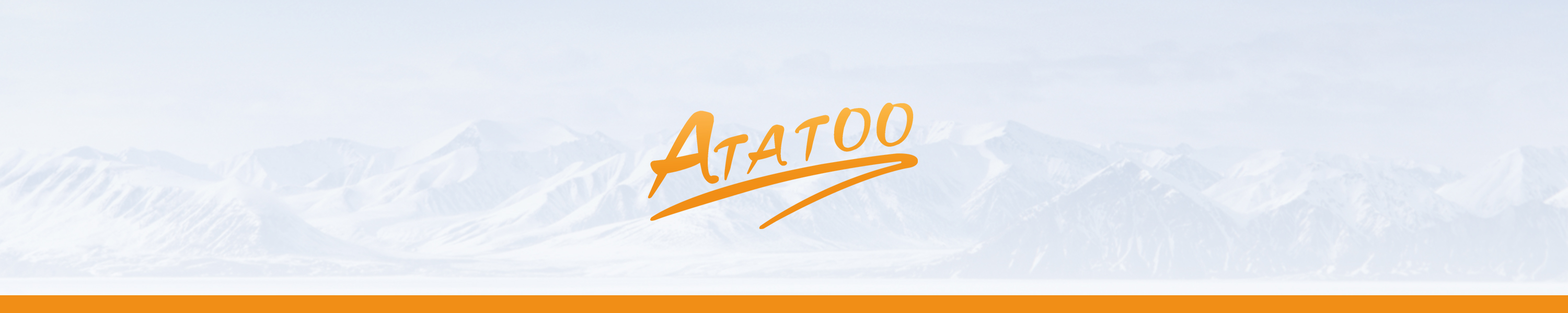 Amazon.com: ATATOO