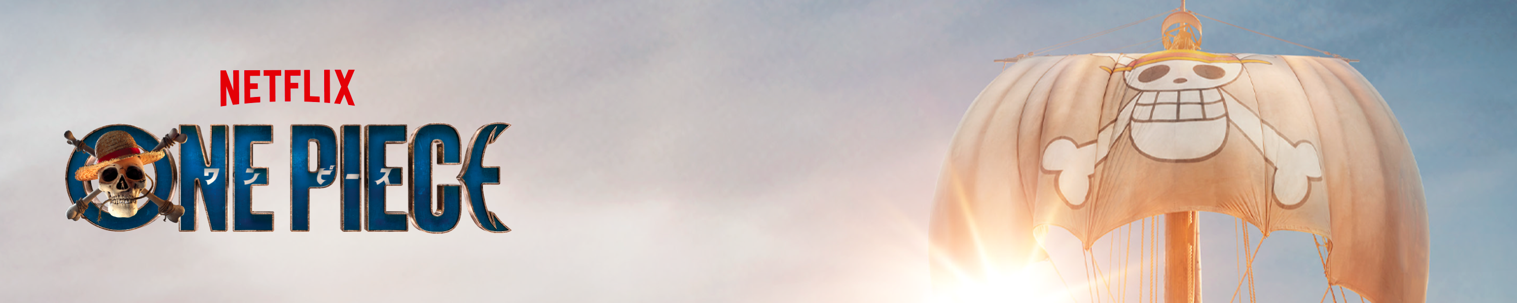 Amazon.com: Cinereplicas: One Piece