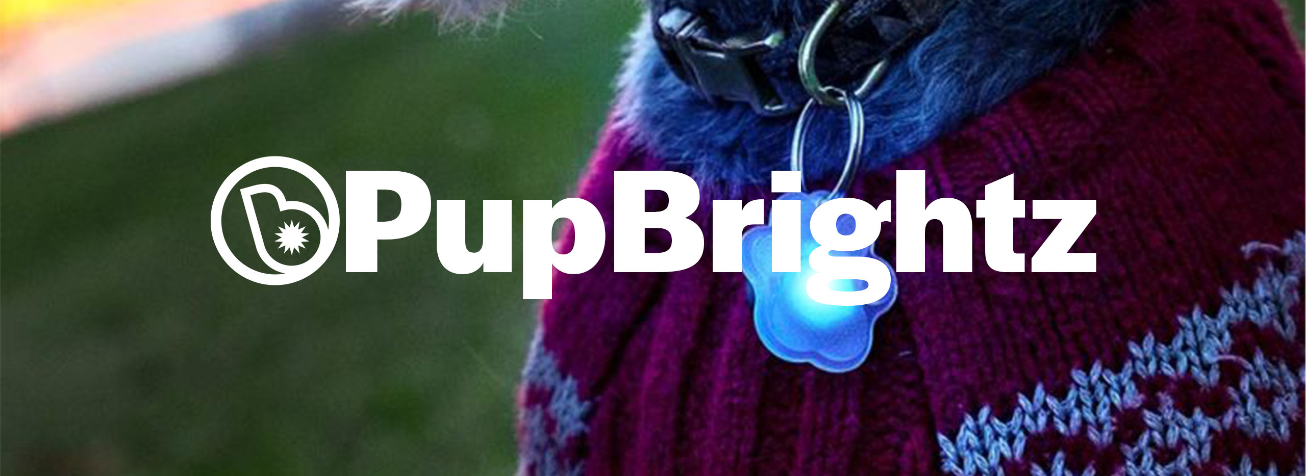 Amazon.com: Brightz: PupBrightz