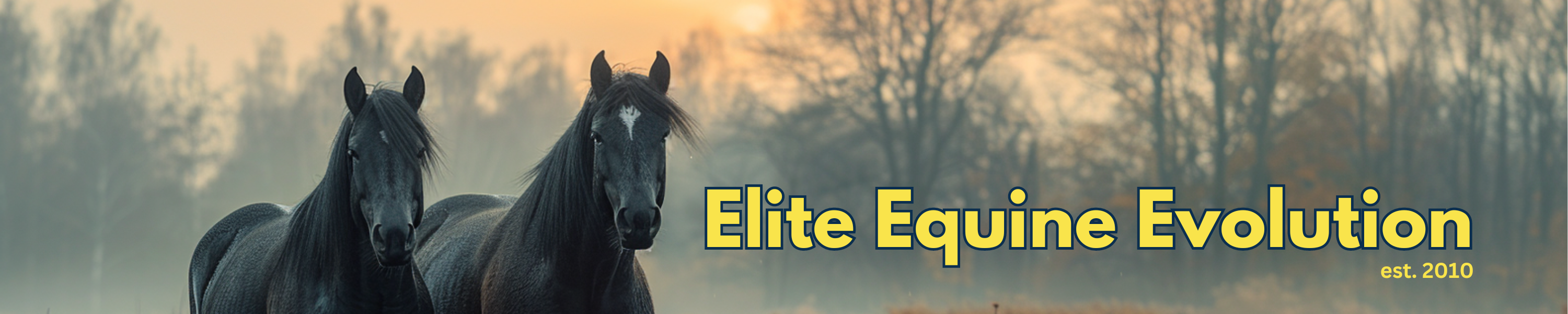 Amazon.com: E3: Elite Equine Evolution