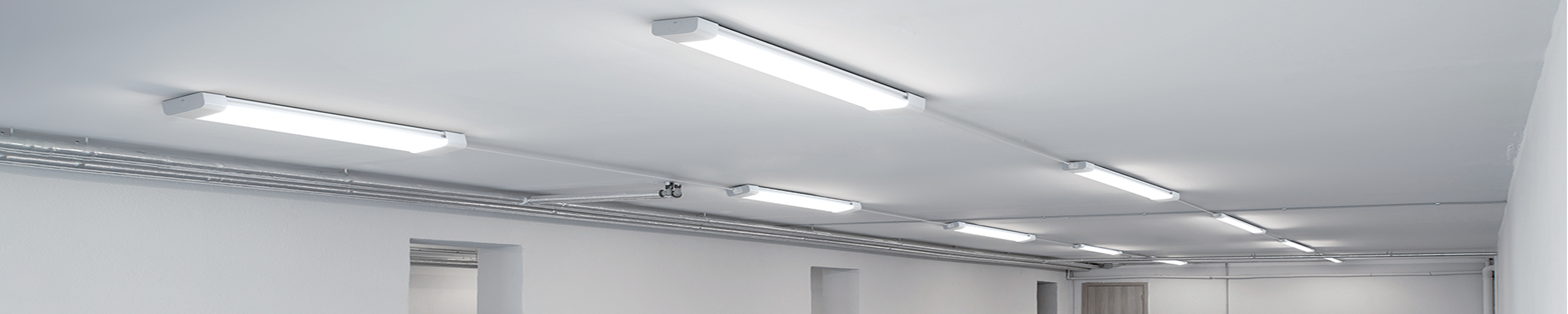 Amazon.com: Modlicht: Tri-proof Light