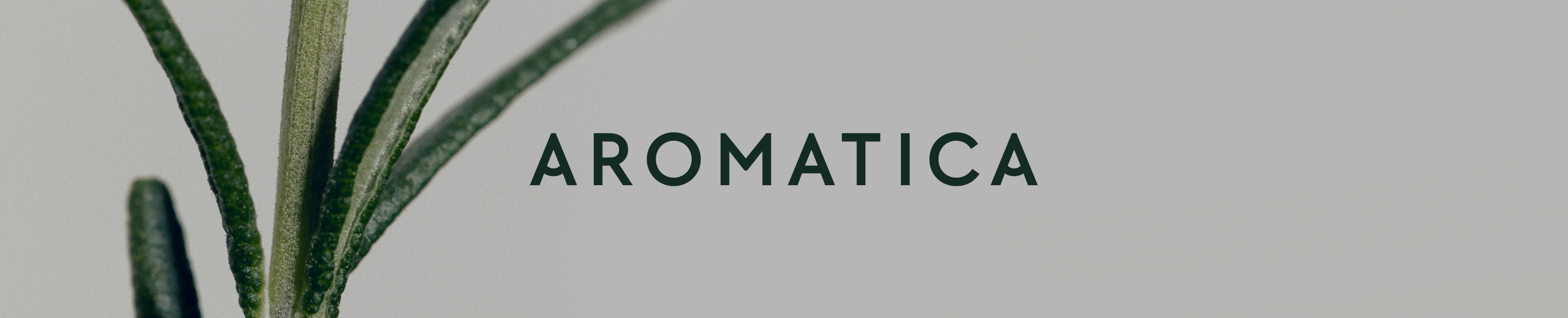 Amazon.com: AROMATICA