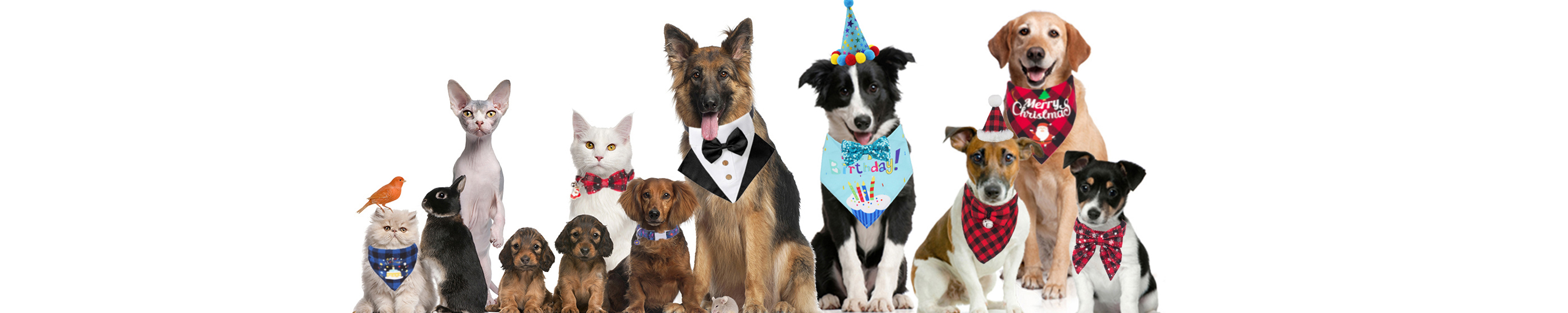 Amazon.com: ADOGGYGO