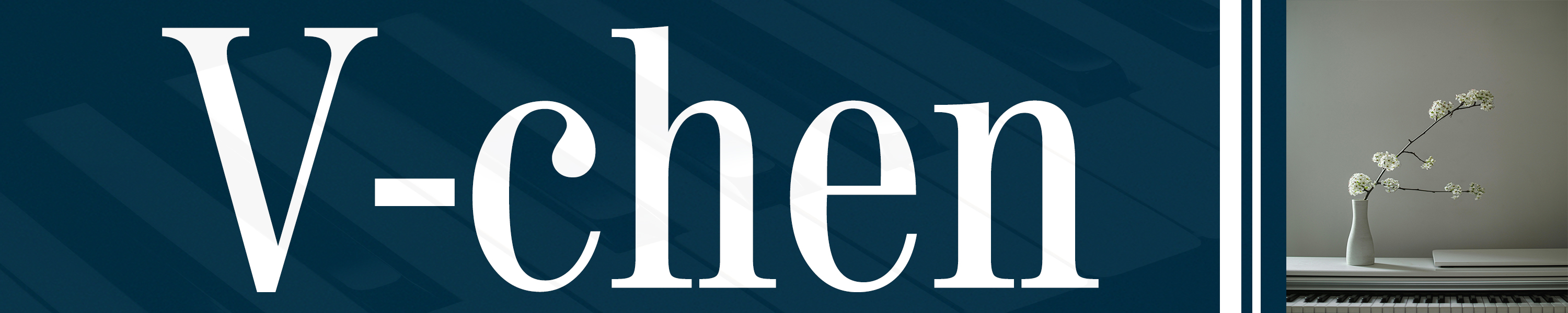 Amazon.com: V-chen: Spin Mop Replacement Heads