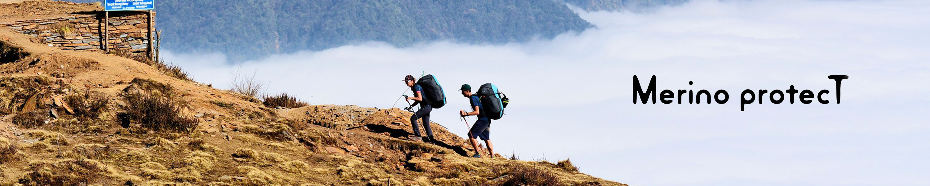 Amazon.ca: Merino Protect: NEW ARRIVALS