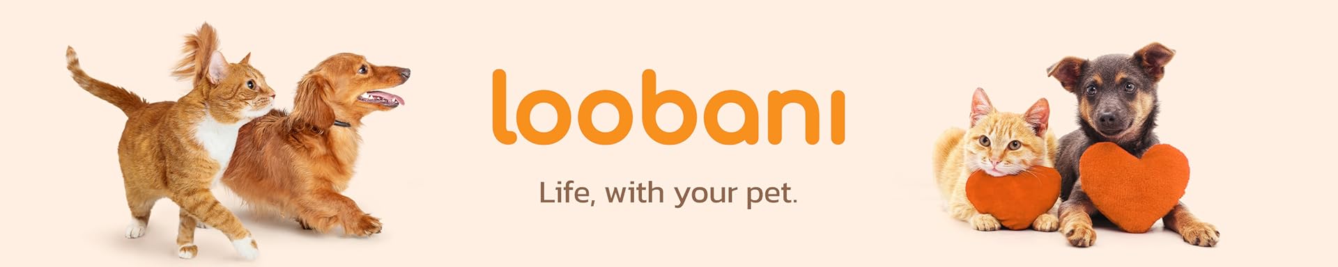 Amazon.com: LOOBANI