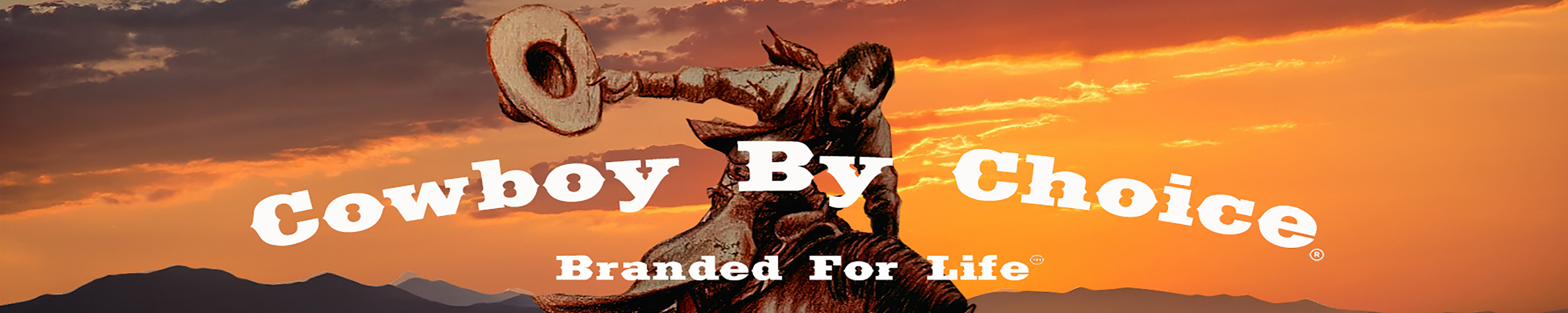 Amazon.com: Americas Favorite Cowboy Brand: Condiments