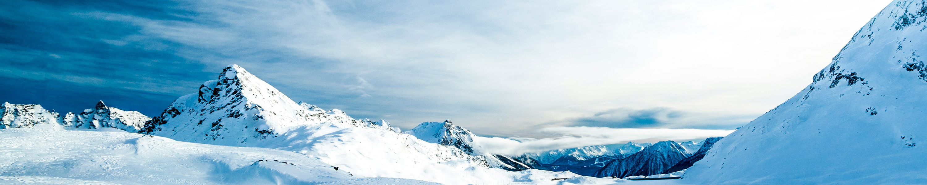 Amazon.com: ZMC brand