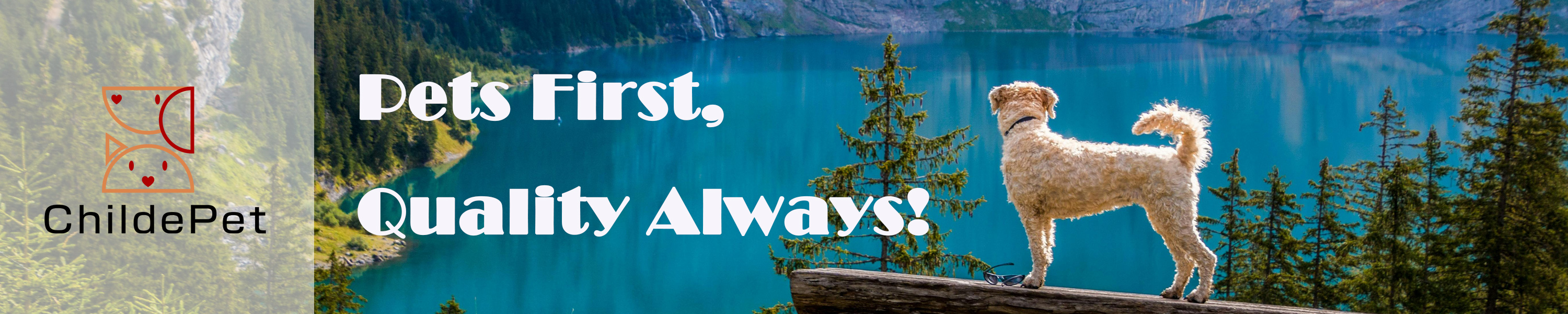 Amazon.com: ChildePet