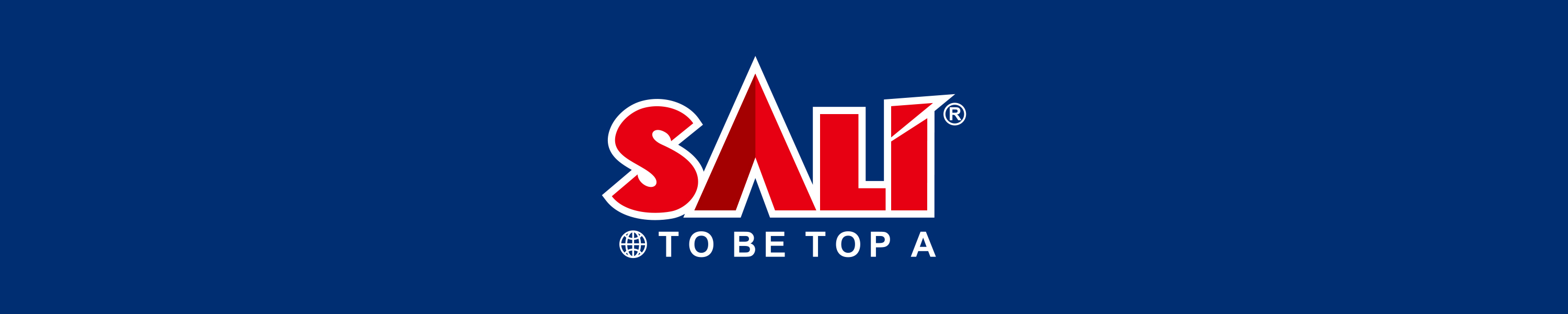 Amazon.ca: SALI: Explore All SALI Tools