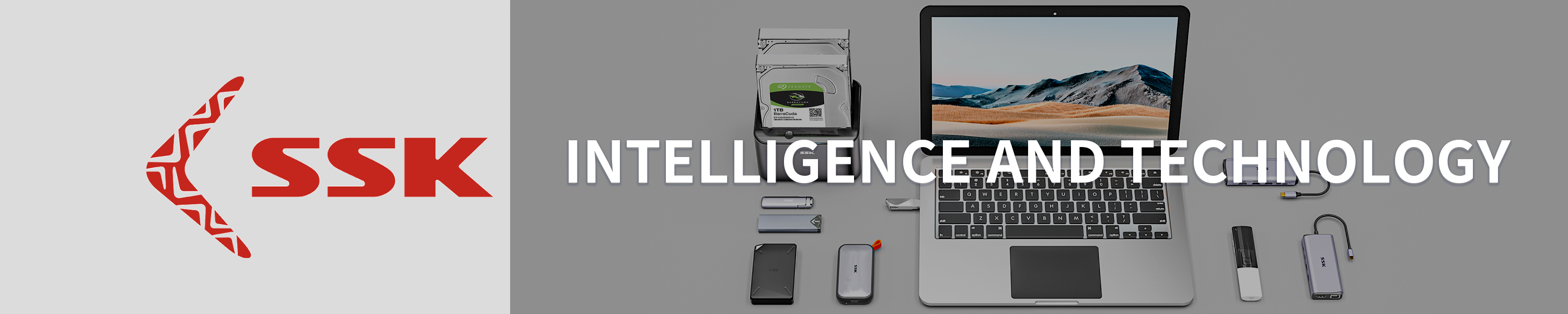 Amazon.com: SSK: M.2 SSD/Enclosure