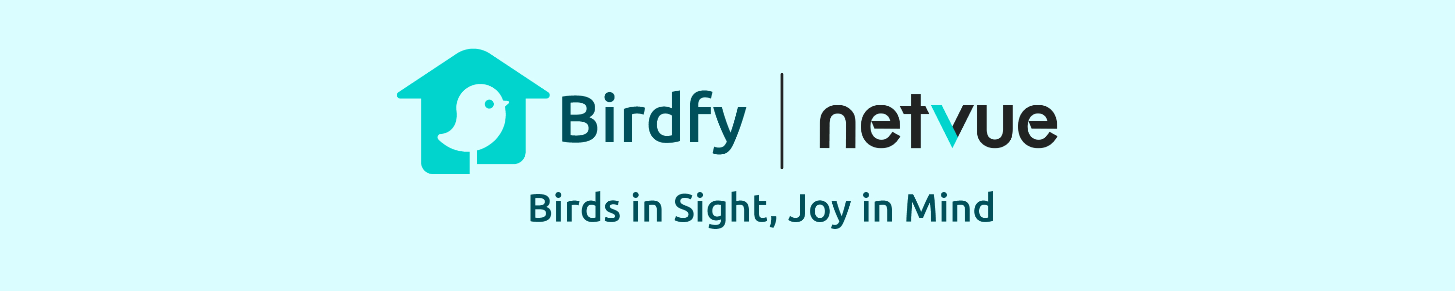 Amazon.com: NETVUE: Security Camera