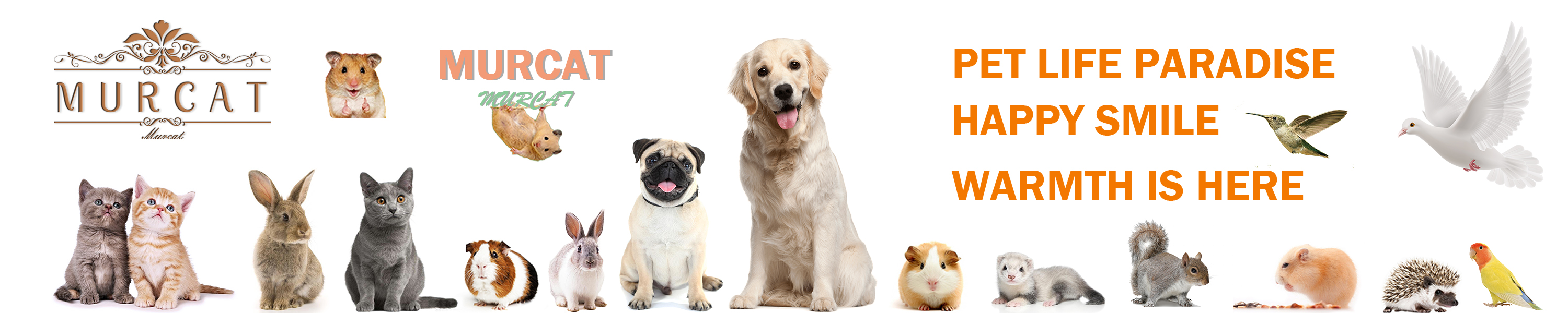 Amazon.ca: MURCAT MURCAT: Small Animal Supplies