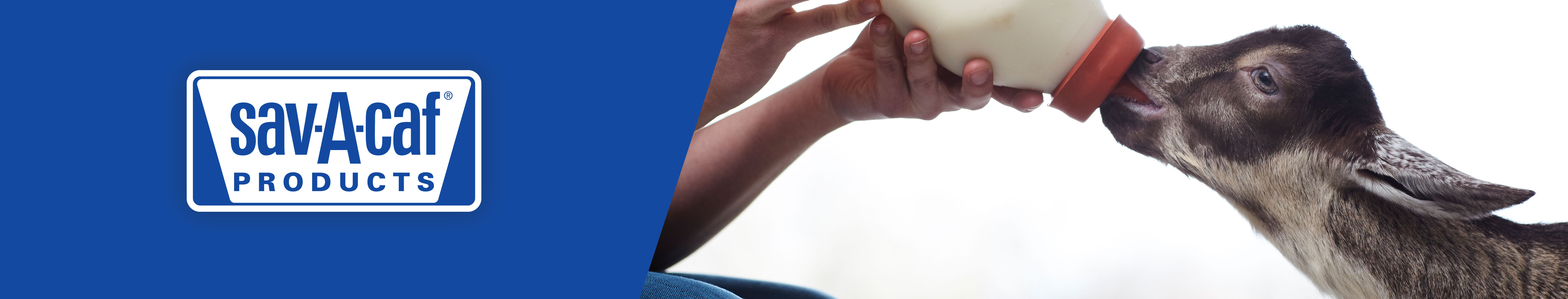 Amazon.com: Sav-a-Caf: Goat Kid