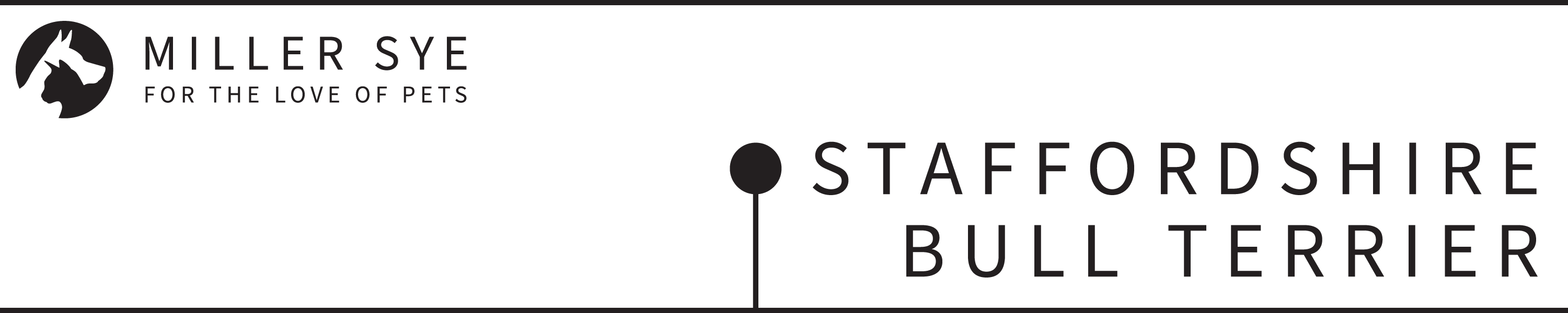 Amazon.com: Miller Sye: Staffordshire Bull Terrier