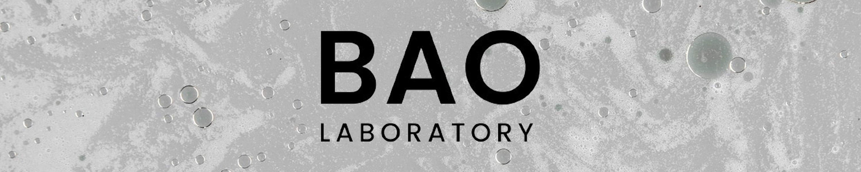 Amazon.com: BAO Laboratory