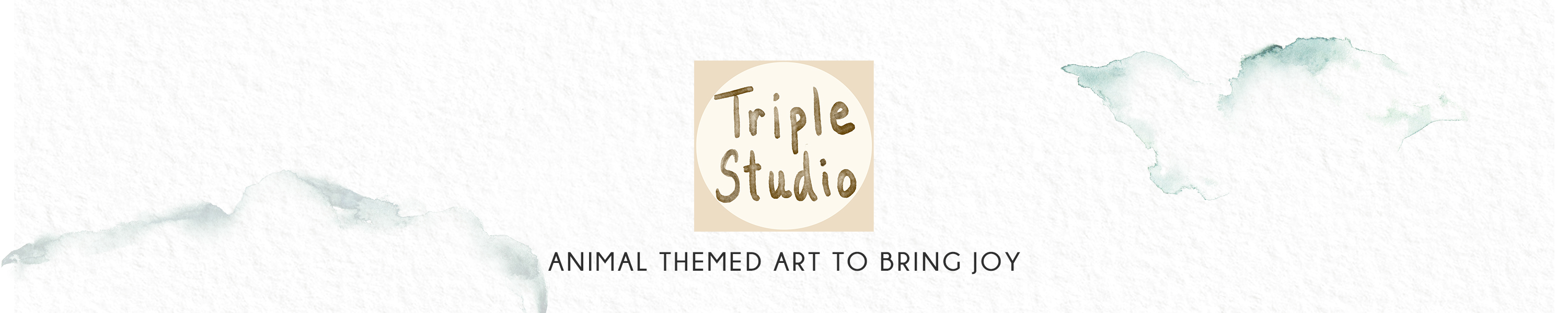Amazon.com: Triple Studio