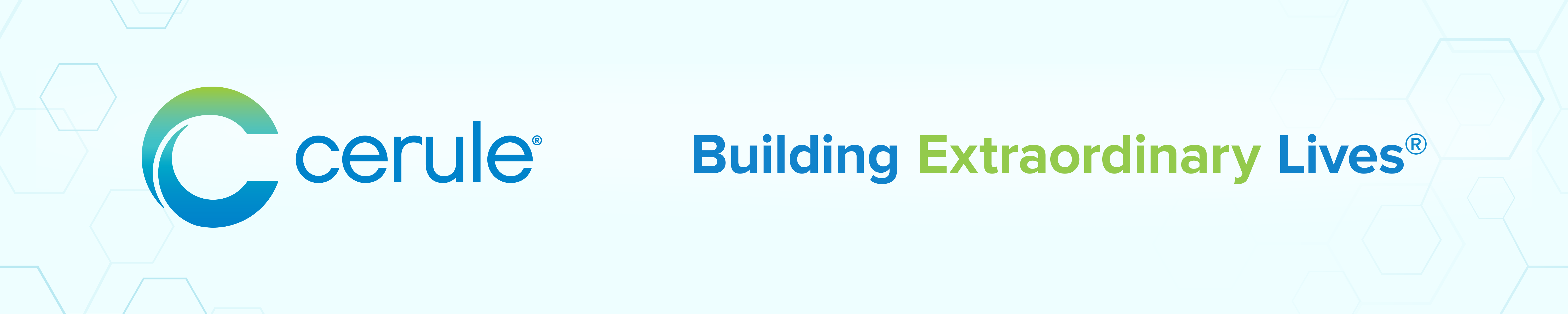 Amazon.com: Cerule: Inflammatory Support