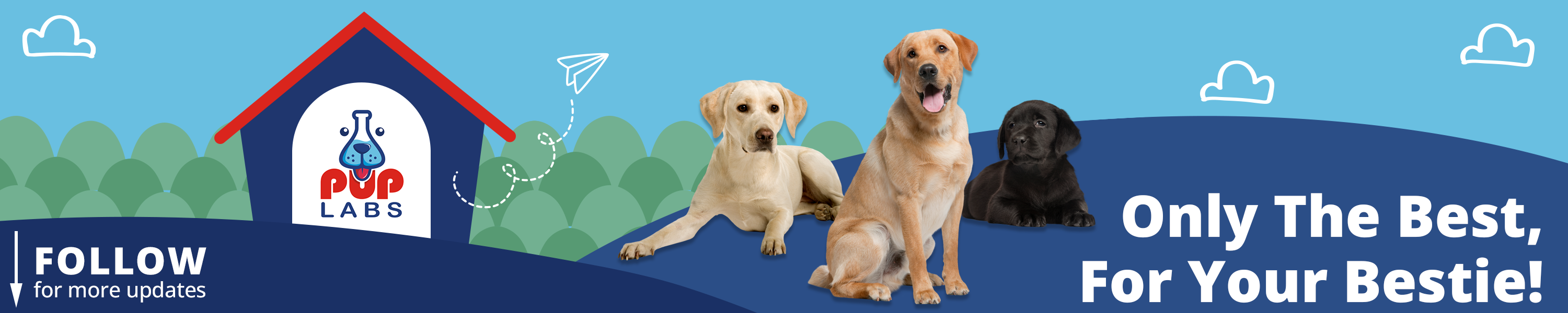 Amazon.com: Pup Labs