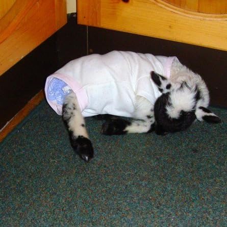 Kindness Starts With You - At School: Stagg, Jacquelyn: 9781775183310 ...