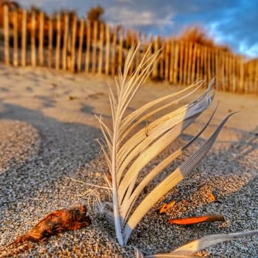 Learning Java by Building Android Games: Explore Java Through Mobile ...