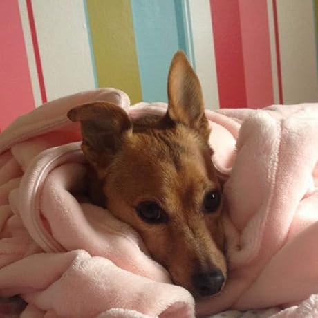 Amazon.com: Dirty Laundry: A Novel: 9780593497388: Bose, Disha: Books