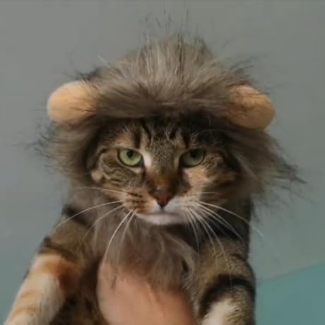 Amazon.com: Homicidal Aliens are Invading and All I Got is This Stat Menu eBook : Ackerknecht, J ...