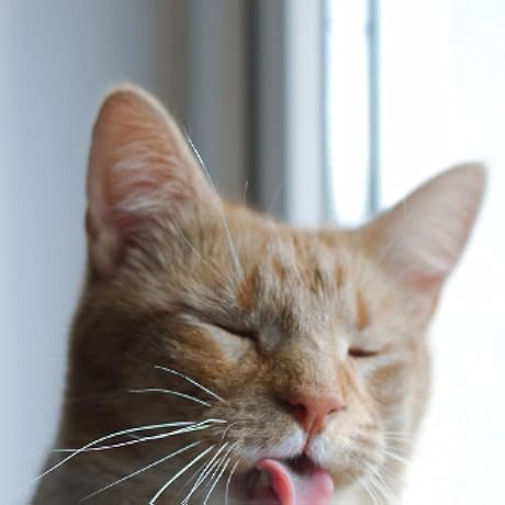 Run Wild: Sa Ye (Novel) Vol. 1 - Kindle edition by Wu Zhe, Ding Yue Rong. Literature & Fiction ...