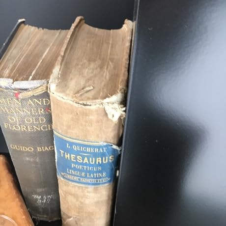 Amazon.com: The Paris Maid: Totally heartbreaking and gripping World War Two historical fiction ...