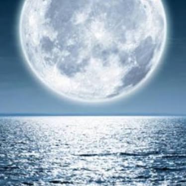 Amazon.com: Programming: Principles and Practice Using C++ (C++ In-depth): 9780138308681 ...