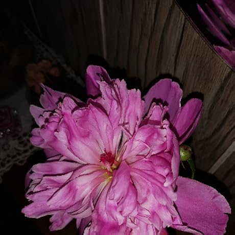 Buy JAVA: THE COMPLETE REFERENCE, 7TH EDN Book Online at Low Prices in ...