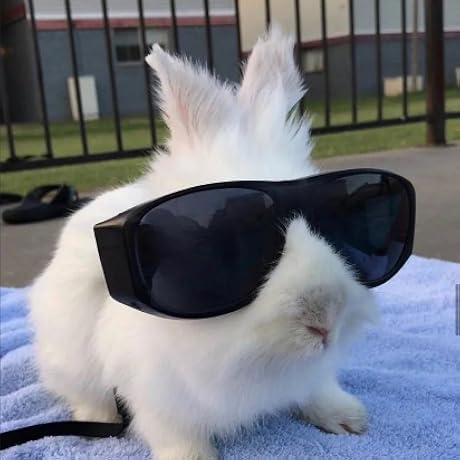 Amazon.com: How Linux Works, 3rd Edition: What Every Superuser Should ...