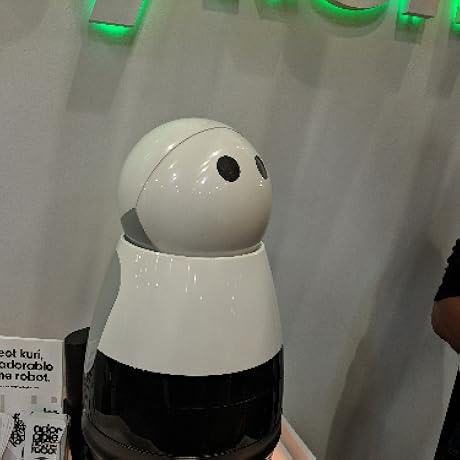 Dynamic Programming: Models and Applications (Dover Books on Computer ...