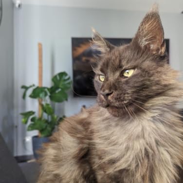 Amazon.com: SKINS Flavored Lube Set - 3 Flavored Water Based Lubes - Fruity Edible Lubricant ...