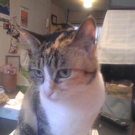 GPU Gems 2: Programming Techniques For High-Performance Graphics And ...