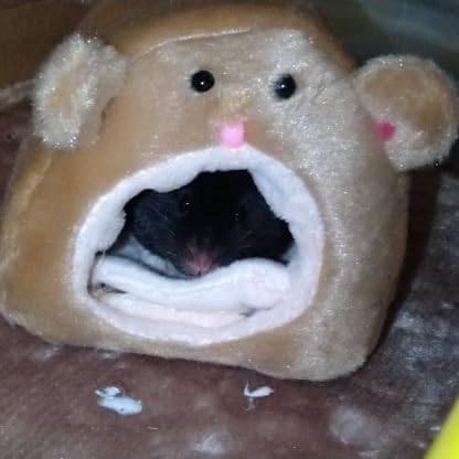 2.5 Dimensional Seduction Vol. 1: Hashimoto, Yu: 9781648278815: Amazon.com: Books