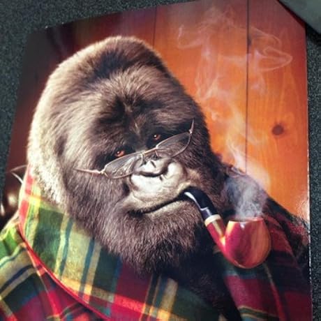 Amazon.com: Everybody Wants to Rule the World Except Me (Dark Lord Davi, 2): 9780316392402 ...