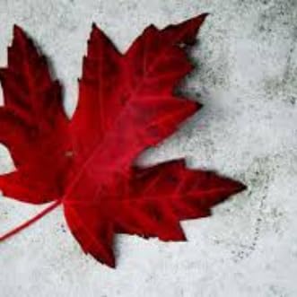 ActionScript 3.0 Game Programming University: Rosenzweig, Gary ...