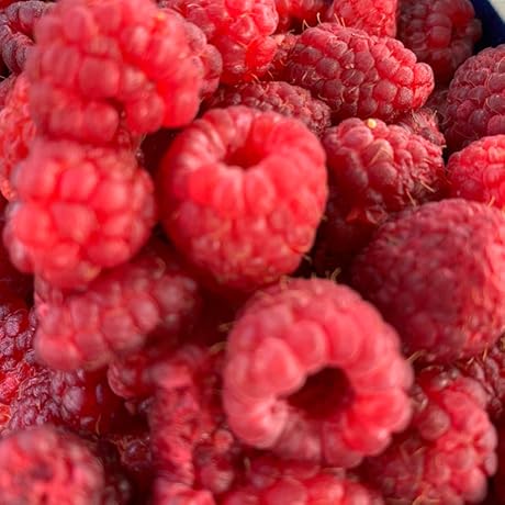 United State Map Laminated Poster -Double Side Educational Poster For ...