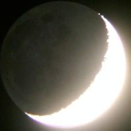 National Audubon Society Field Guide to Butterflies: North America ...