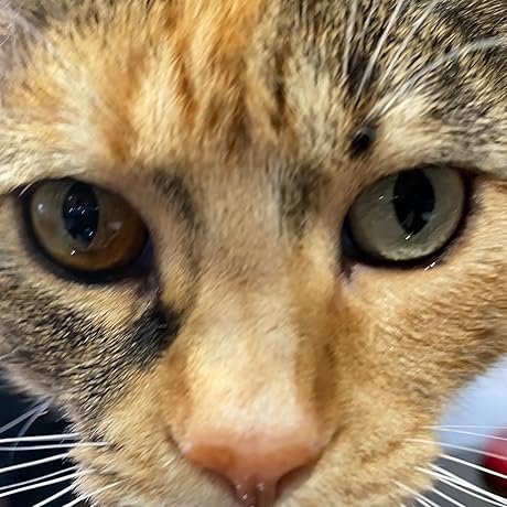 Amazon.com: No Way Out: A Post Apocalyptic EMP Survival Thriller (Fall of Houston Series, Book 1 ...