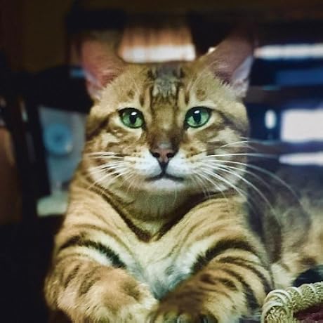 The Good Enough Job: Reclaiming Life from Work: Stolzoff, Simone: 9780593538968: Amazon.com: Books