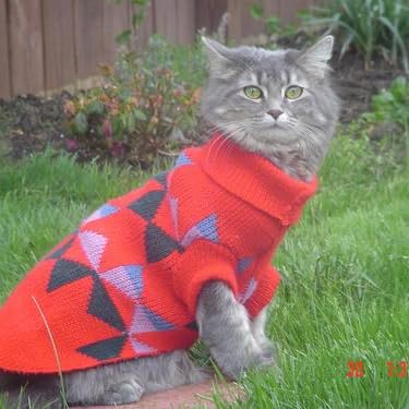 The Rival: The most addictive and unputdownable thriller you'll read all year eBook : Duckworth ...