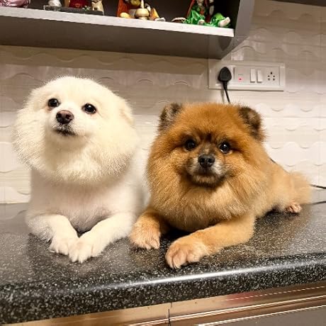 Amazon.com: I Bet You’d Look Good in a Coffin: The deliciously dark, hilarious, twisted new ...